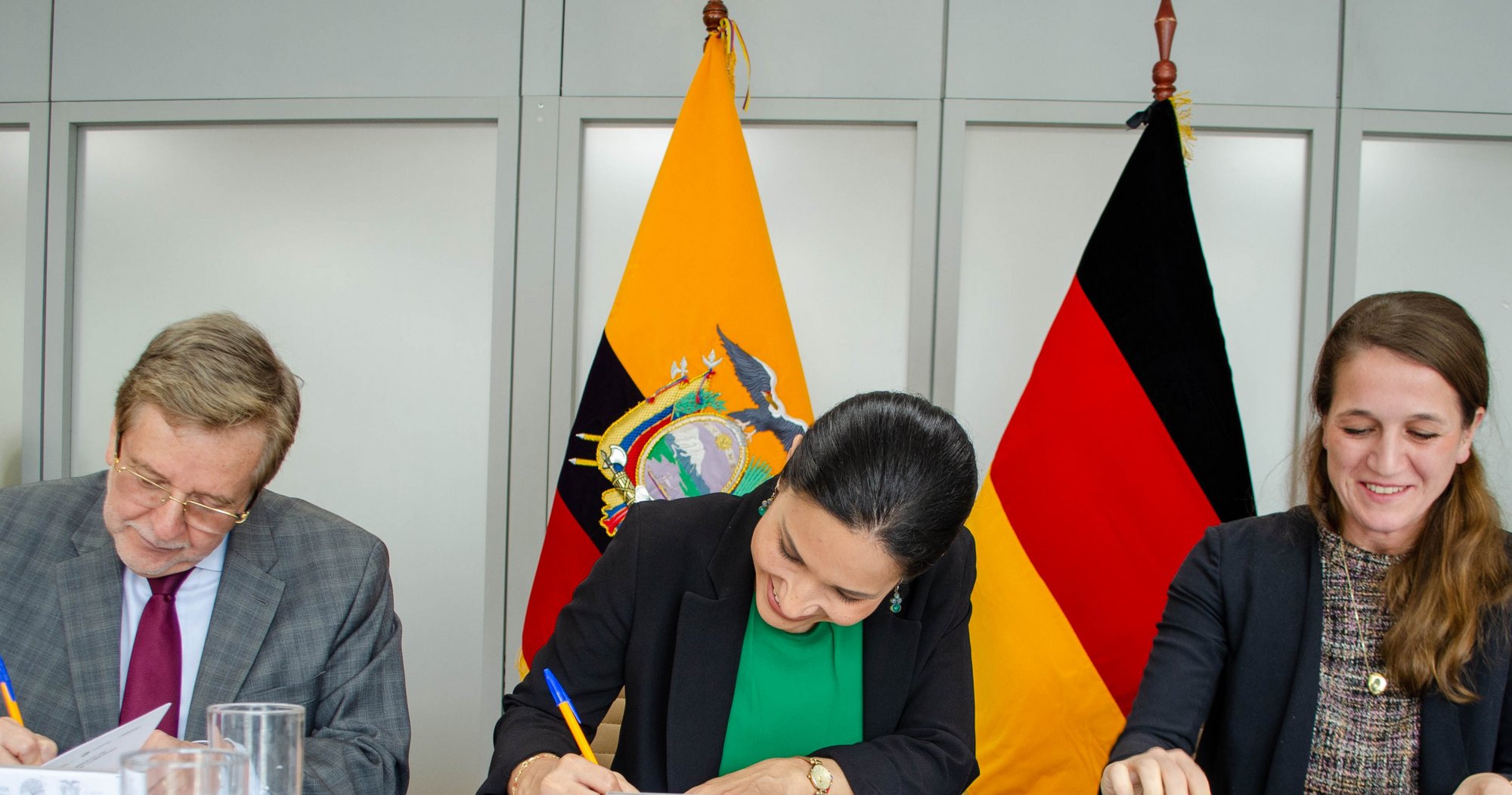 IPD | What we do - IPD